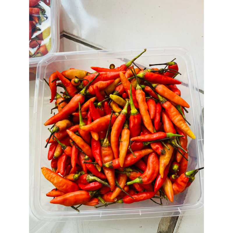 Jual Cabe Rawit Biasa 500 Gr | Shopee Indonesia