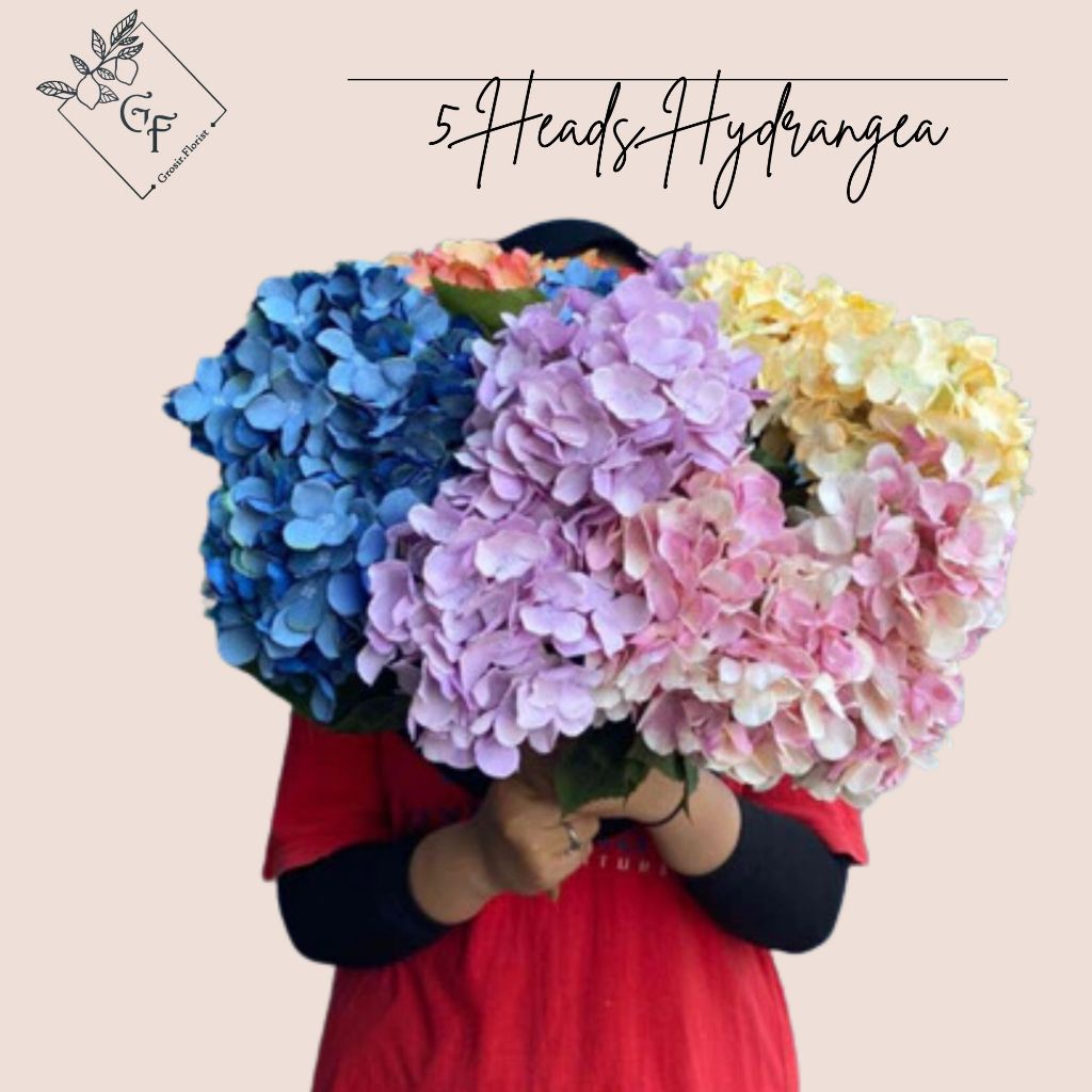 Jual BUNGA ARTIFICIAL HYDRANGEA X5 BESAR BUNGA PANCA WARNA LEBAT ...