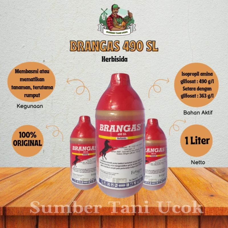 Jual HERBISIDA || BRANGAS 490 SL | Shopee Indonesia