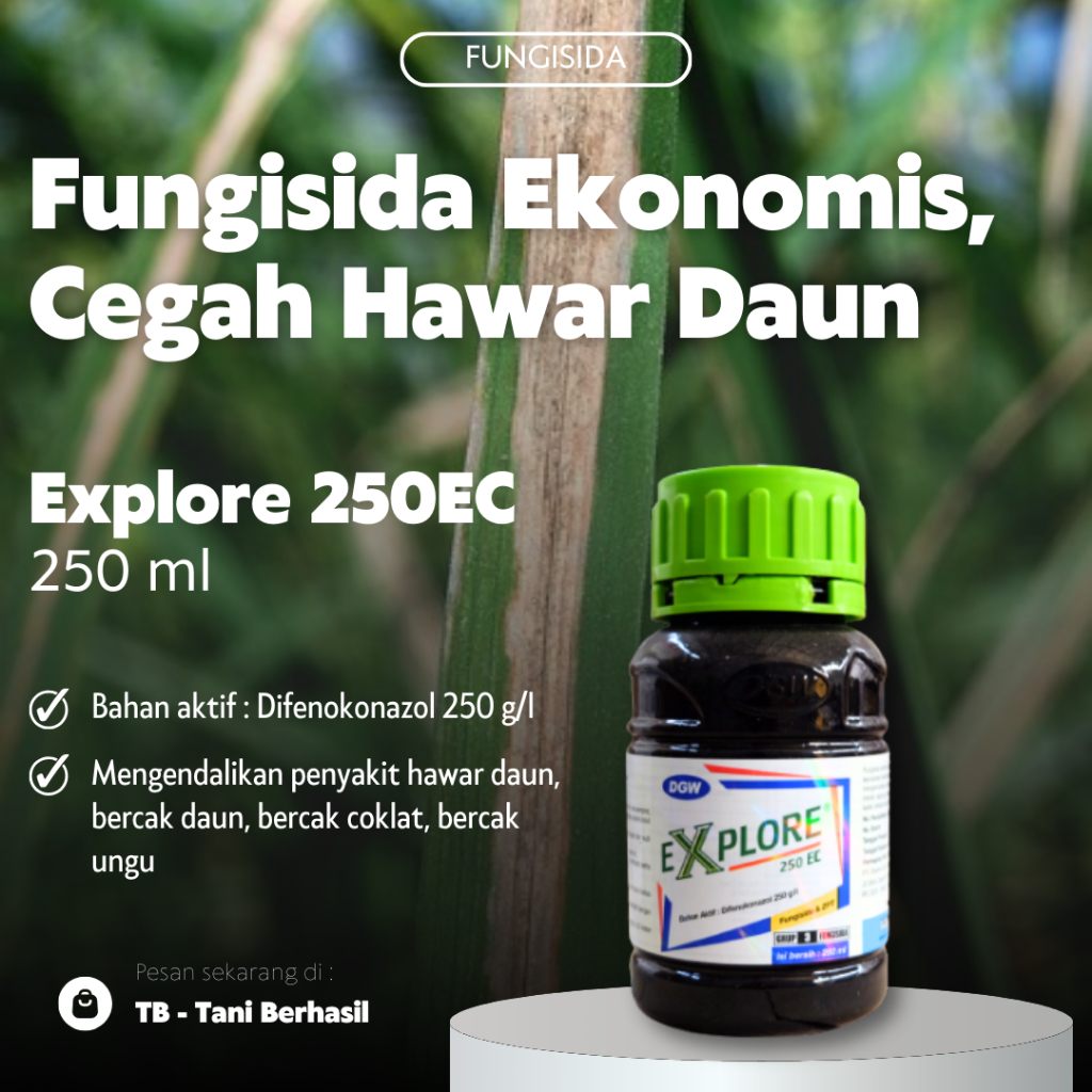 Jual Fungisida Explore 250EC 250 ml, Cegah Hawar Daun pada Tanaman ...
