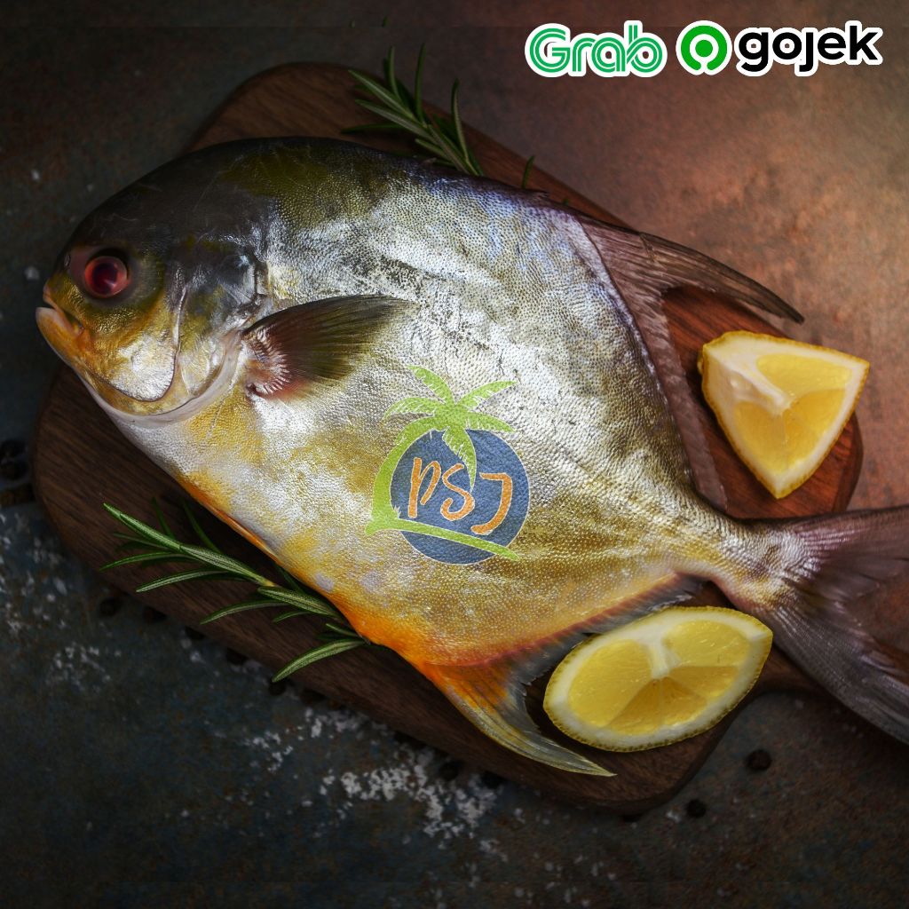 Jual Ikan Marukoban utuh bersih insang 1 ekor 400-600 gram | Ikan bawal ...