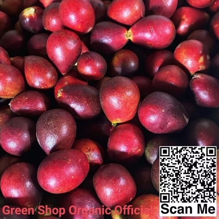 Jual Buah Matoa Merah Daging Super Tebal 1kg Fresh Buah Tiga Rasa ...