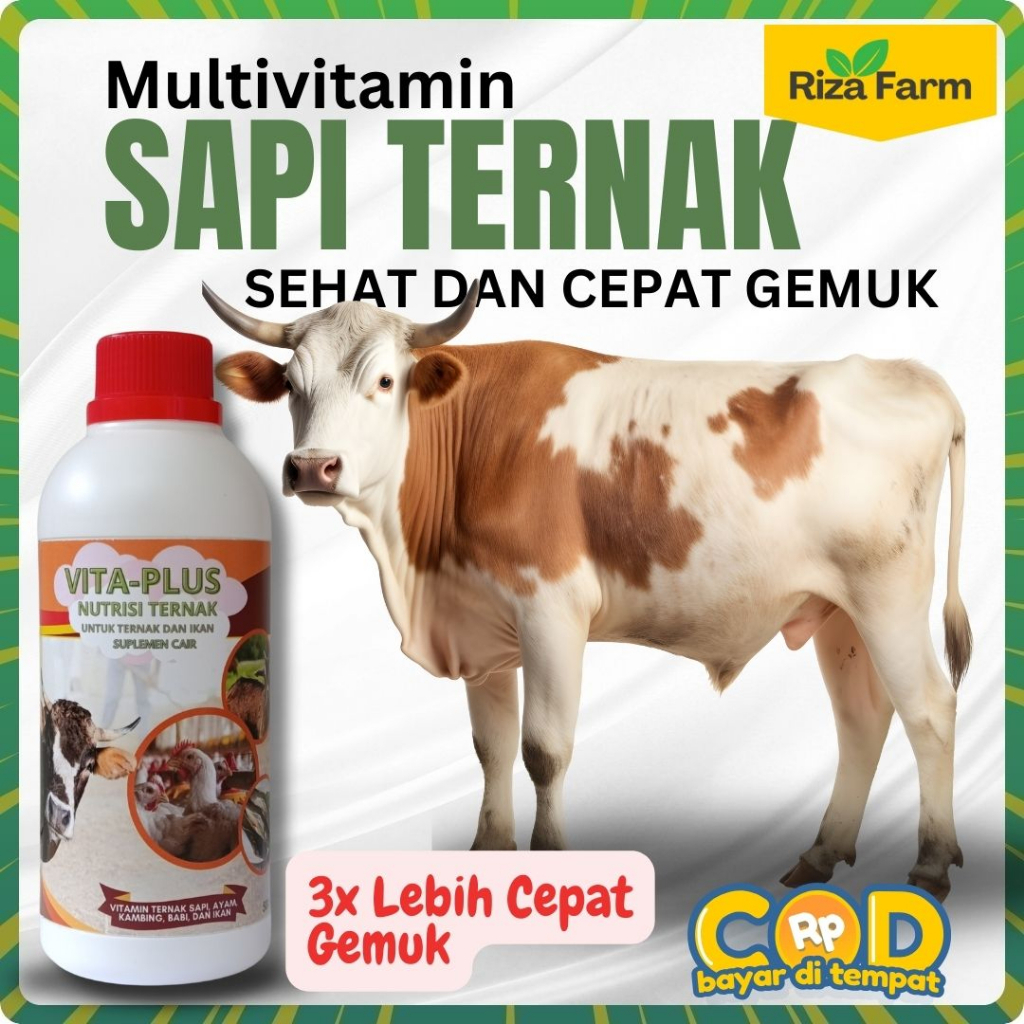 Jual vita plus Vitamin Sapi agar Cepat Gemuk | Obat Penggemuk Sapi ...