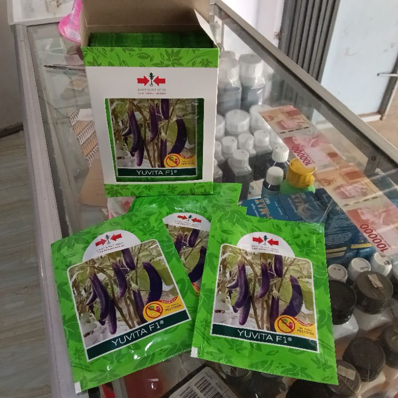 Jual Benih Terong Super Unggul Jumbo Yuvita F1 (Panjang Berbobot dan Produksi Tinggi), isi 1100 ...