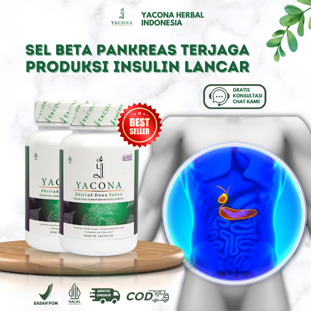 Jual Obat Diabetes YACONA Original Solusi Perbaiki Sel Beta Pankreas ...