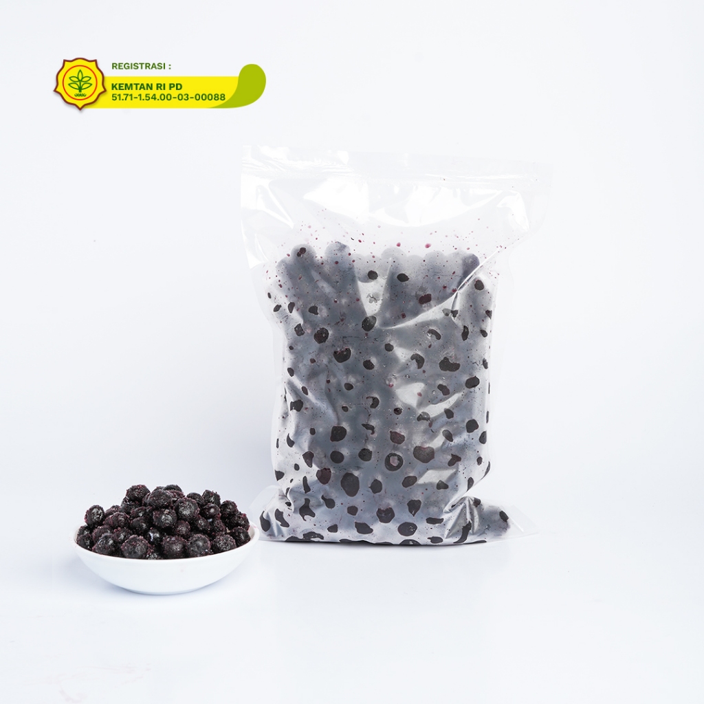 Jual Blueberry Beku / Blueberry Frozen Buah Beku by Bali Food Industry ...