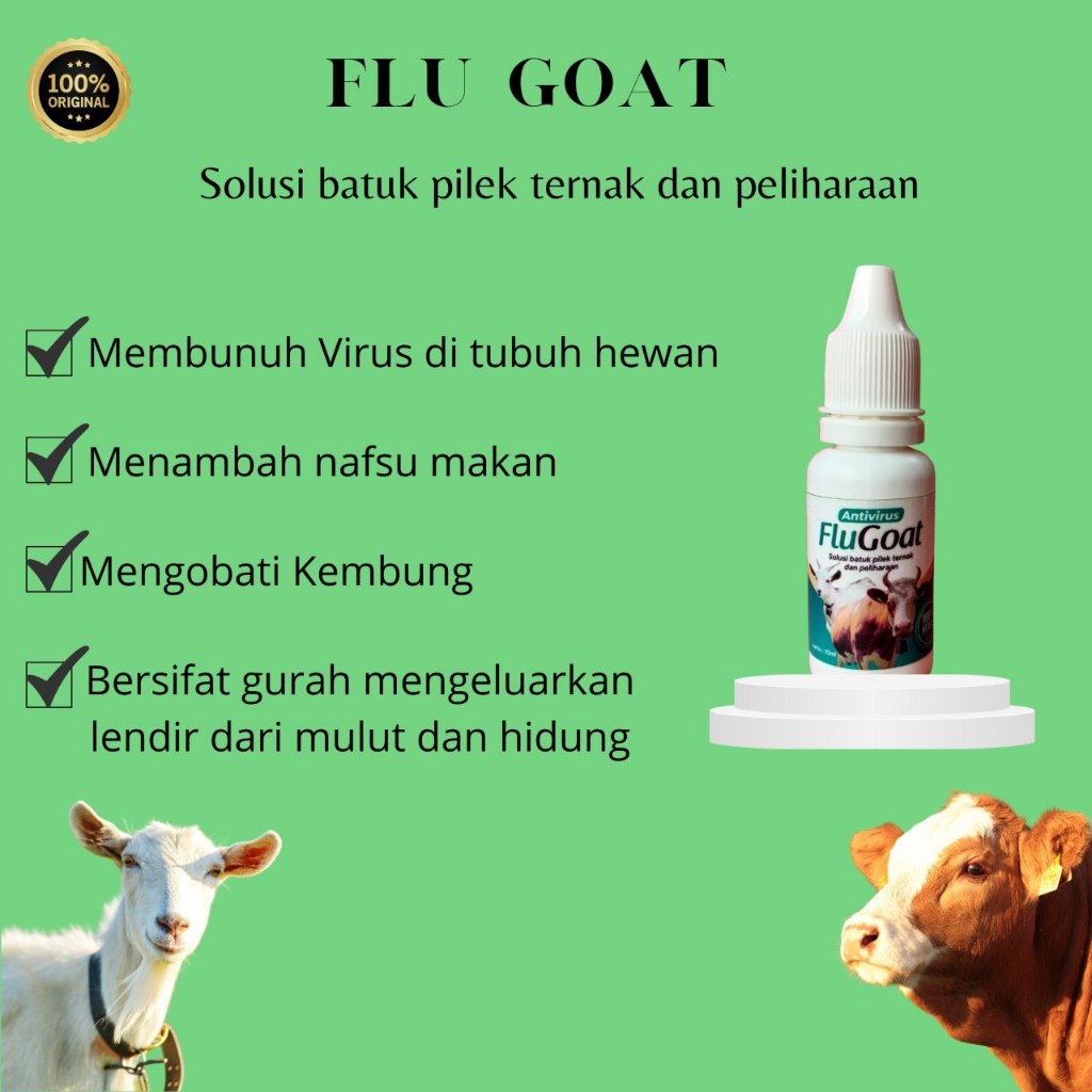 Jual Obat Kembung Kambing Stop Pneumonia Flu Domba Hewan Kerbau Kembung ...
