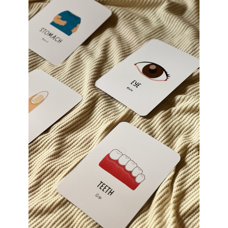 Jual BODY PARTS SERIES Lui’s Learning Cards | Flashcard | Aesthetic ...