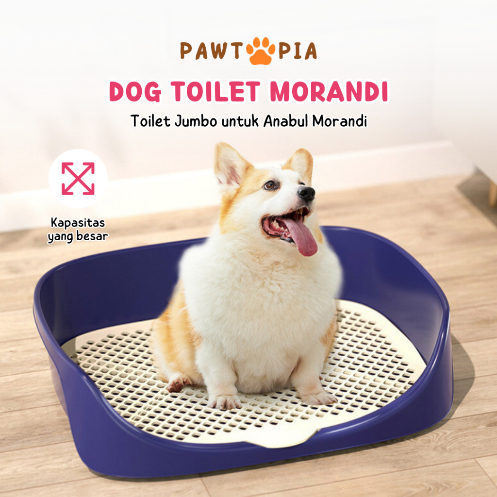Jual DOG TOILET MORANDI - Alas Kencing Anjing Kucing Ukuran Besar - Pad ...
