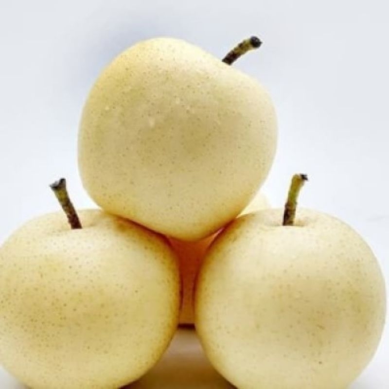 Jual Buah Pear Century segar 1kg | Shopee Indonesia