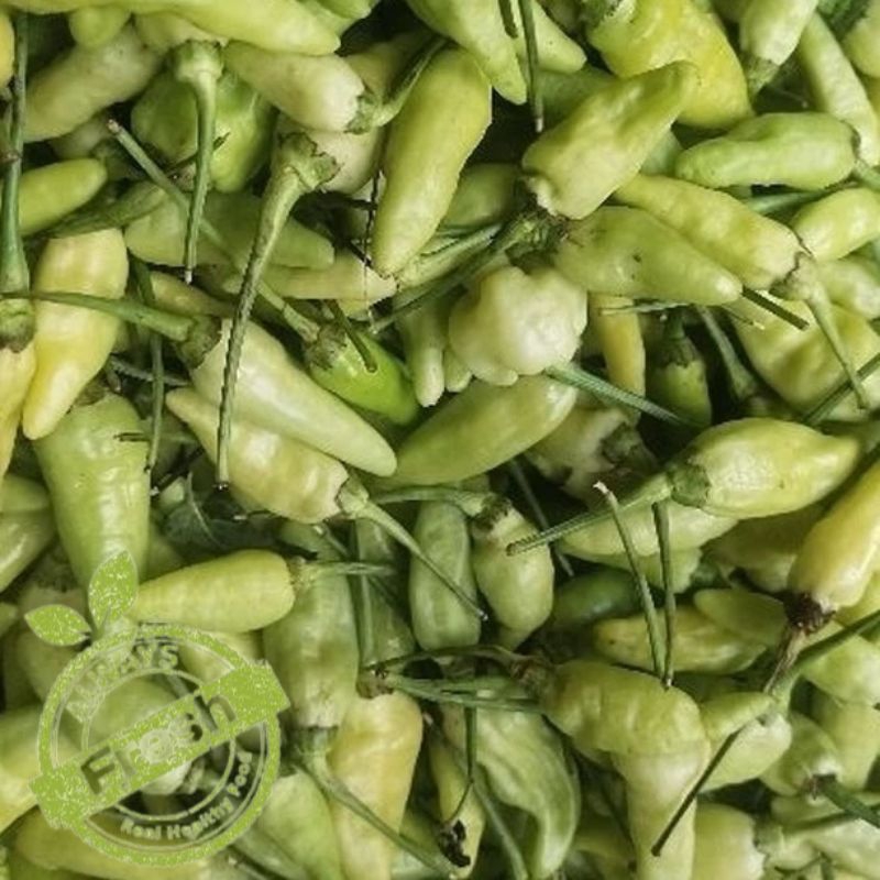 Jual Cabe Rawit Putih 100gram | Shopee Indonesia