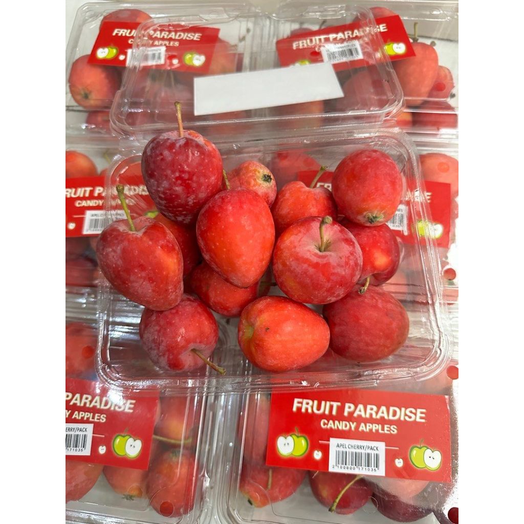 Jual Buah Apel / Apple Cherry Fresh Import 1 Dus / Box / Keranjang ...