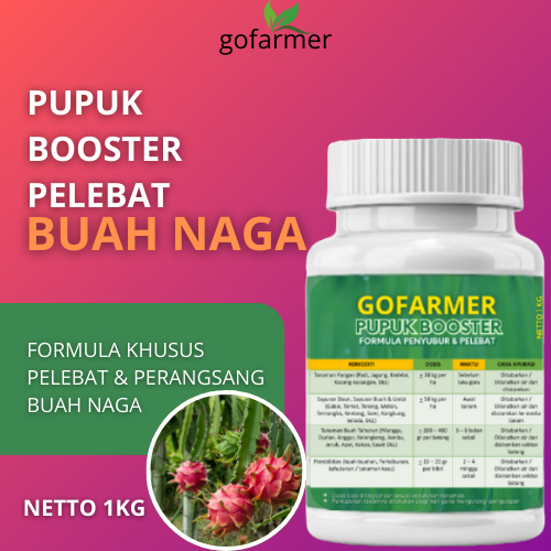 Jual Pupuk booster buah naga pelebat buah nutrisi anti rontok, Pupuk pelebat buah naga serta ...