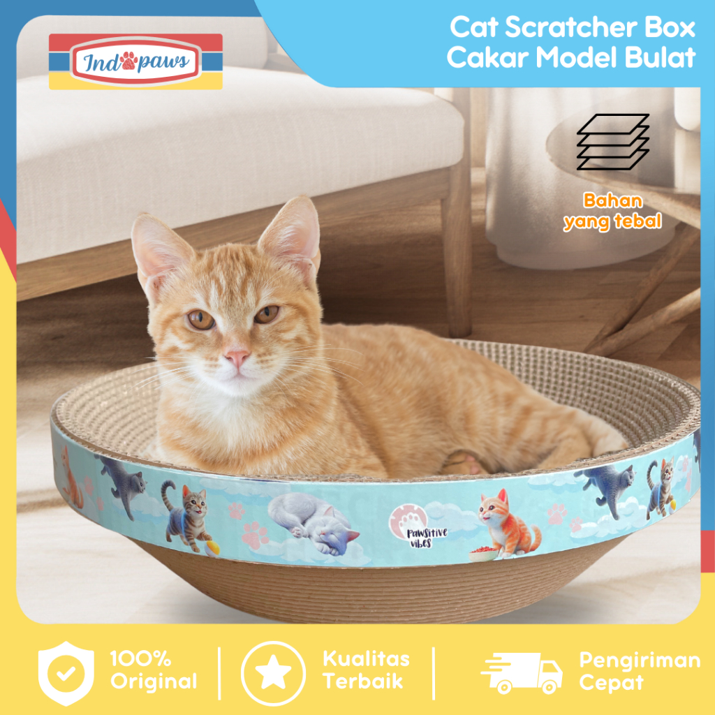 Jual Indopaws Cat Scratcher Box Model Bulat - Papan Garukan Kucing ...
