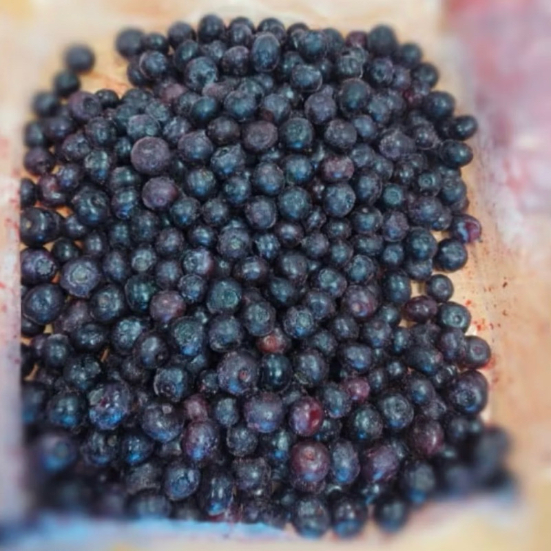 Jual BLUEBERRY / BLUE BERRY IMPORT / berries IQF / Blueberry Frozen ...