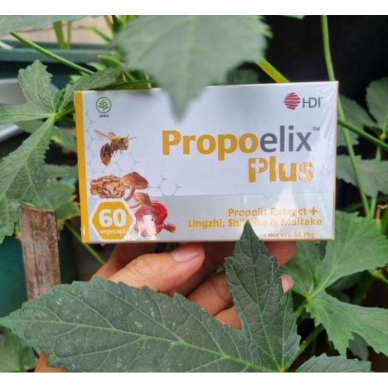 Jual propoelix plus 60 kapsul original exp 2025 | Shopee Indonesia