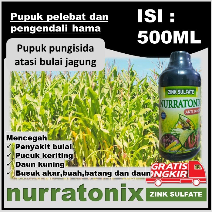 Jual Pupuk Atasi Bulai Tanaman Jagung – Pupuk Paling Manjur Atasi Bulai Tanaman Jagung – Pupuk ...