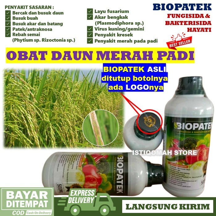 Jual Obat Semprot Penyakit Daun Merah Pada Padi BIOPATEK 500ML Obat Anti Penyakit Hawar Blas ...