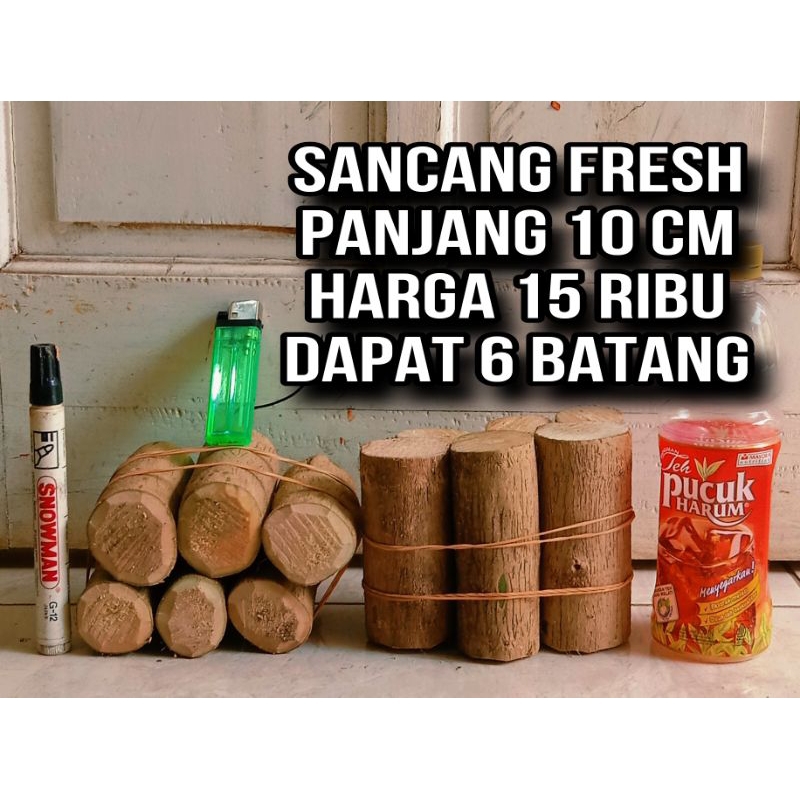 Jual Sancang fresh 15.000 dapat 6 batang mantap. | Shopee Indonesia