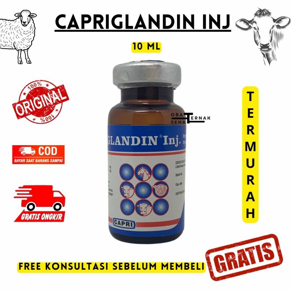 Jual CAPRIGLANDIN INJ 10 ml - Obat Birahi Hewan, Hormon Sinkronisasi ...