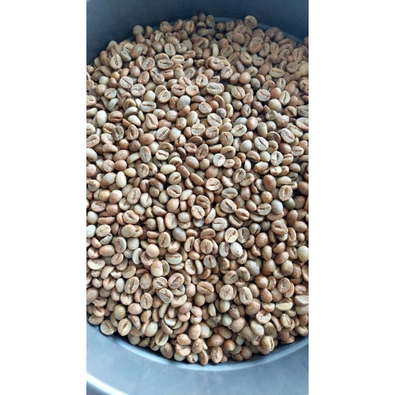 Jual Green bean Robusta Lampung grade 1 - Natural Process | Shopee ...