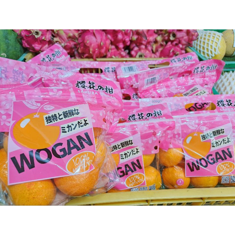 Jual Jeruk Wokam|| Jeruk Wogan || Honey Murcot || Ponkam || Sunkist ...