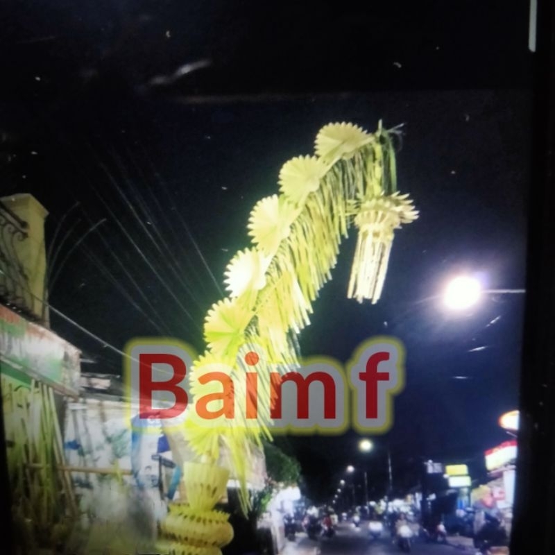 Jual Janur kuning super premium/janur kuning/janur super/ janur custom ...