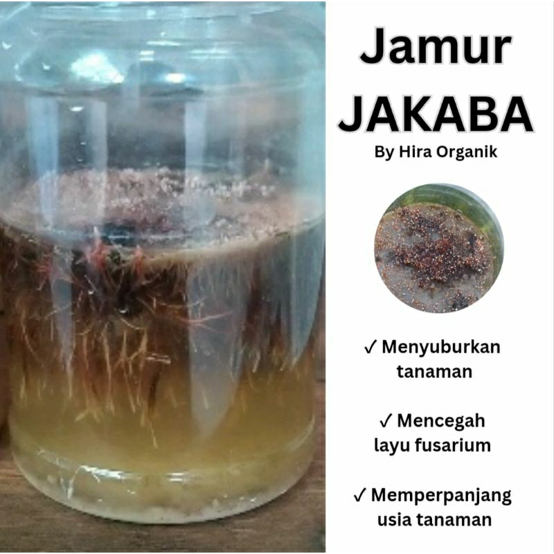 Jual Jakaba Penyubur Tanaman Sudah Jadi Siap Rawat | Shopee Indonesia