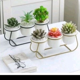 Jual pot bunga mini/pot kecil/pot kaktus/pot meja/pot hiasan meja ...