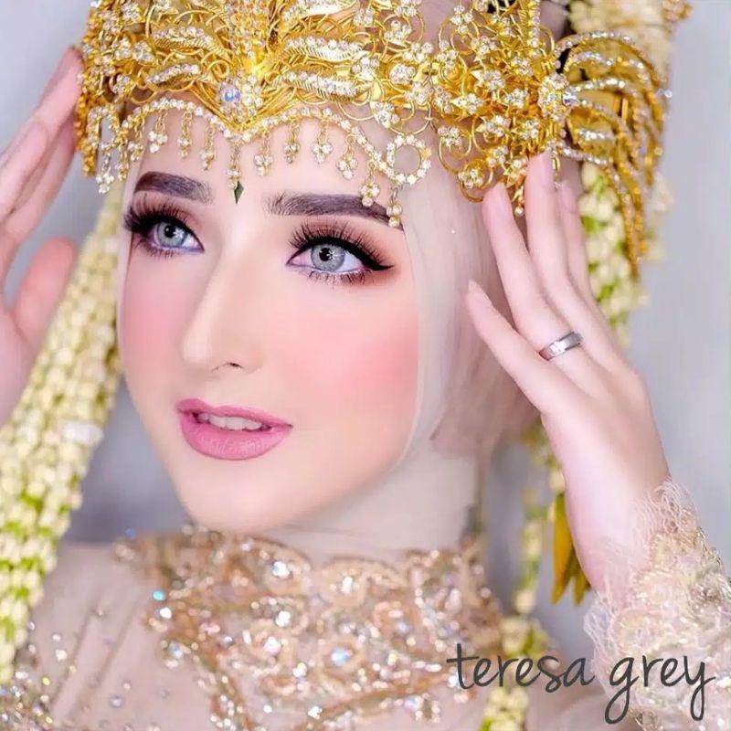 Jual SOFTLENS TERESA 14,5 MM BY DREAM COLOR FREE LENSCASE / SOFLEN ...