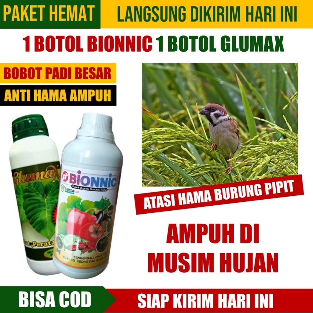 Jual BIONNIC & GLUMAX Obat Pembasmi Hama Burung Pipit/Piyik/Emprit ...