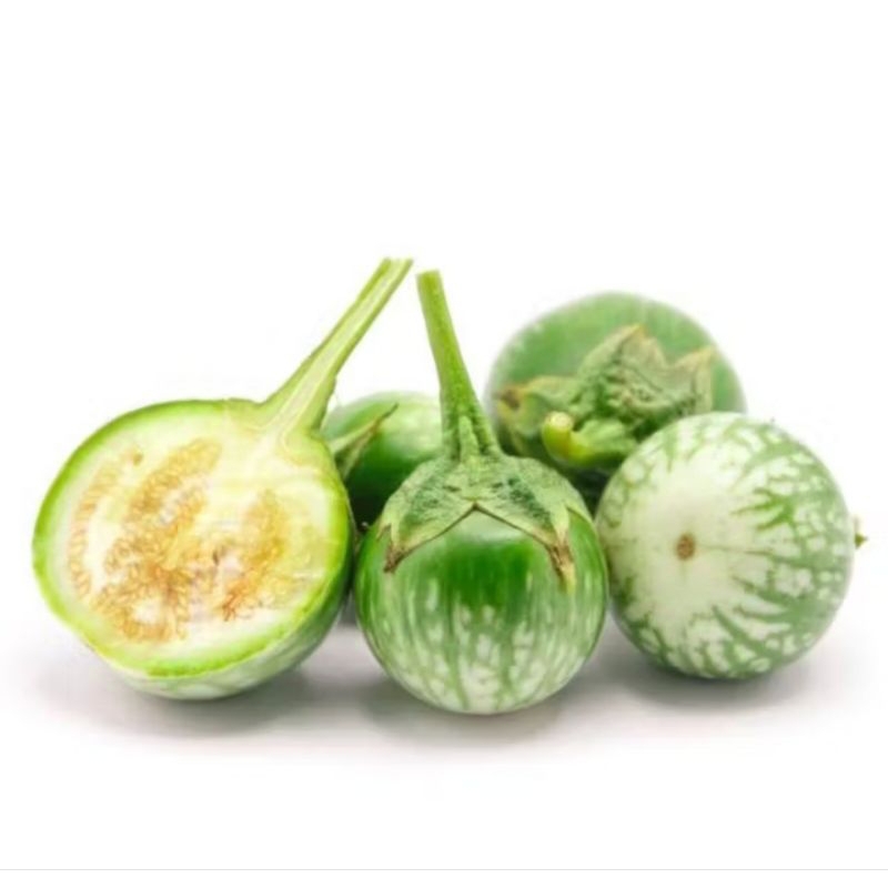 Jual SAYURAN TERONG BULAT TERONG HIJAU LALAPAN 200 GR | Shopee Indonesia