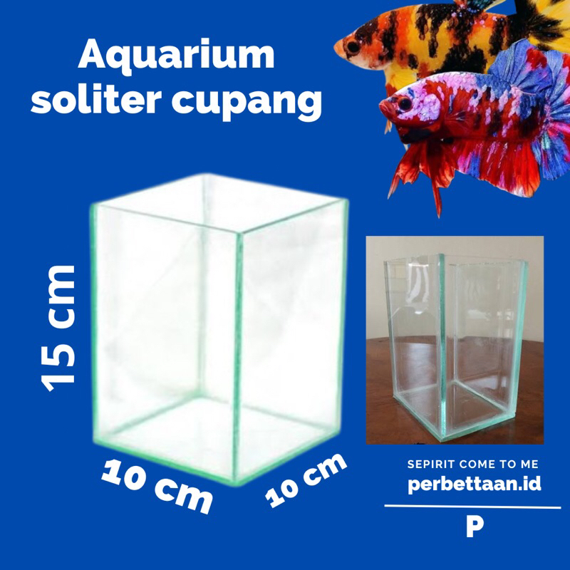 Jual Aquarium ikan cupang 15cm x 10cm Soliter cupang Aquarium ikan hias ...