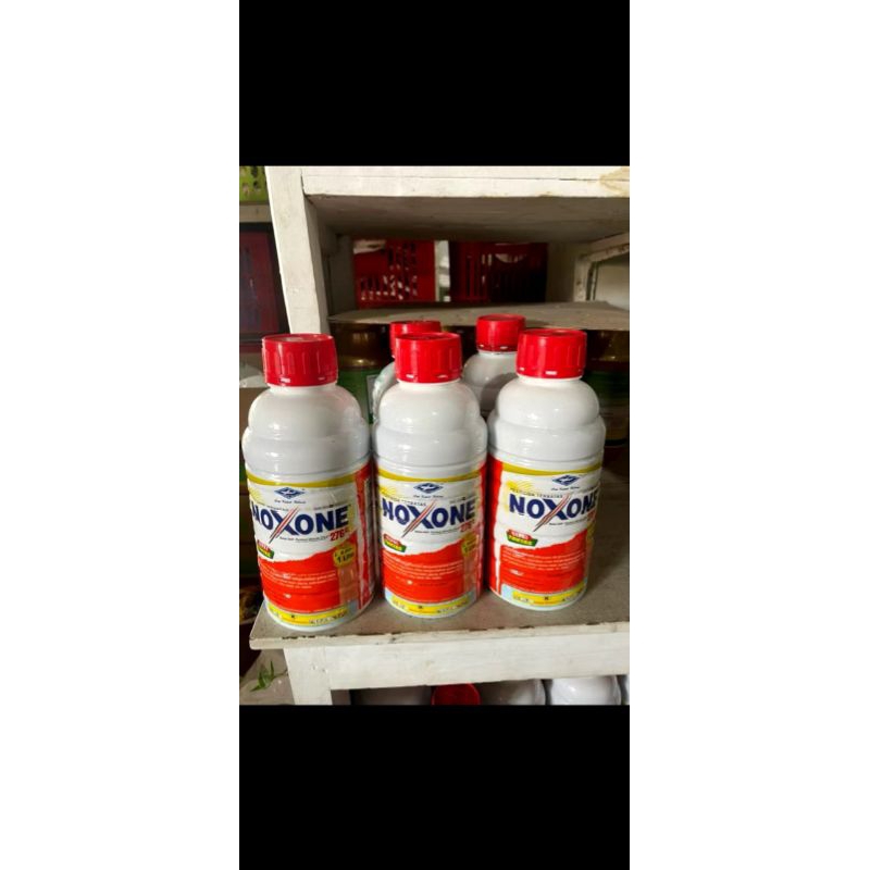 Jual Herbisida Noxone 276SL | Shopee Indonesia