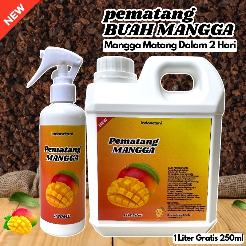 Jual Spray Obat Pematang Buah MANGGA | MANGGA Matang Dalam 2 Hari | 2× ...