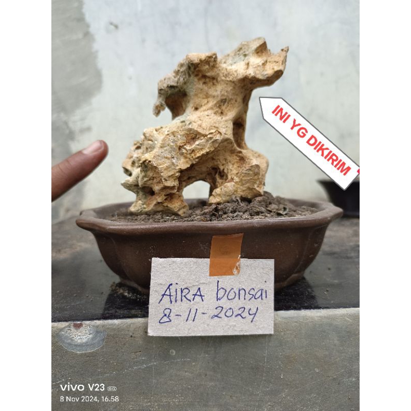 Jual batu gunung untuk bonsai on the rock | Shopee Indonesia