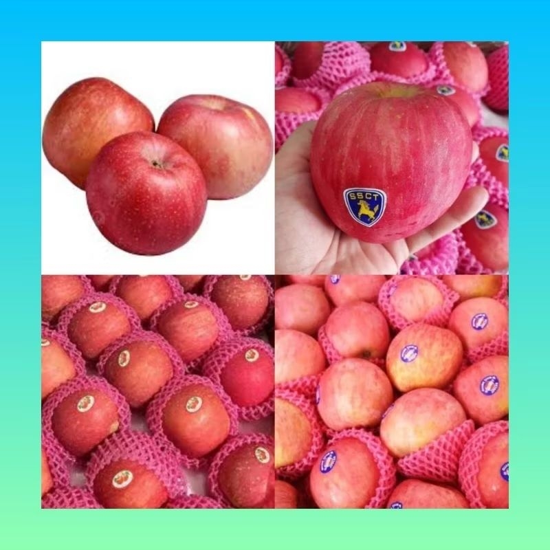 Jual Buah Apel Fuji fresh 1 kg | Apel Fuji merah segar 1 kg | Apel Fuji ...