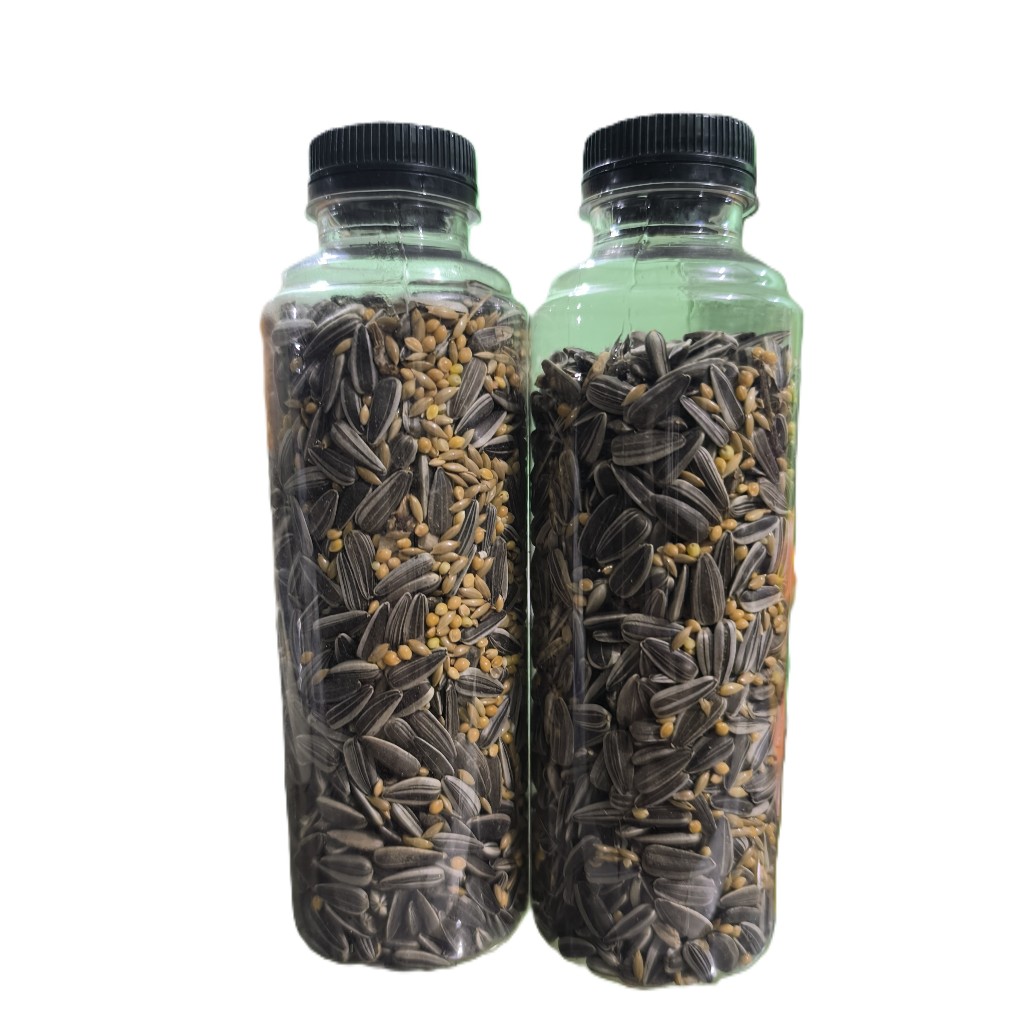 Jual 2 botol pakan burung lovebird Parrot kuaci milet pakan burung ...