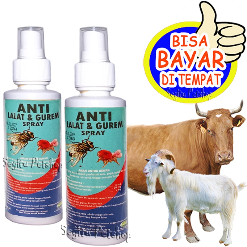 Jual Obat Parasit Sapi Kambing Basmi Serangga Anti Lalat Gurem Spray ...