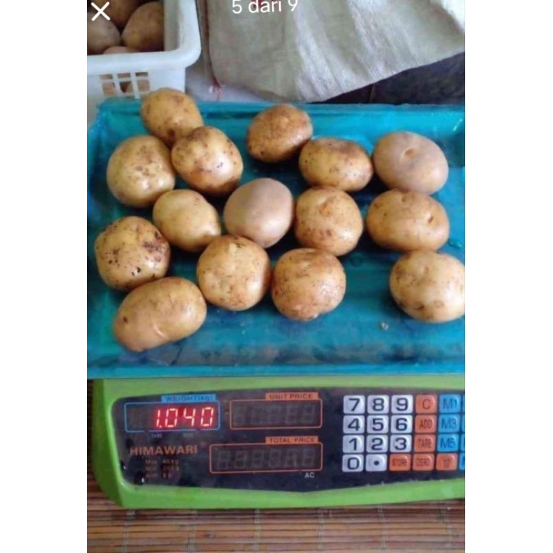 Jual Kentang ukuran Sedang / PL 1 KG | Shopee Indonesia