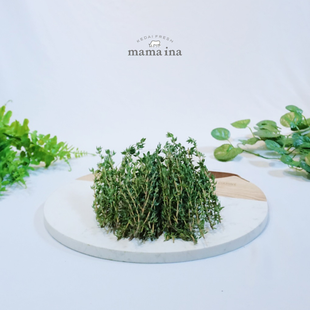 Jual Daun Thyme 50g | Shopee Indonesia