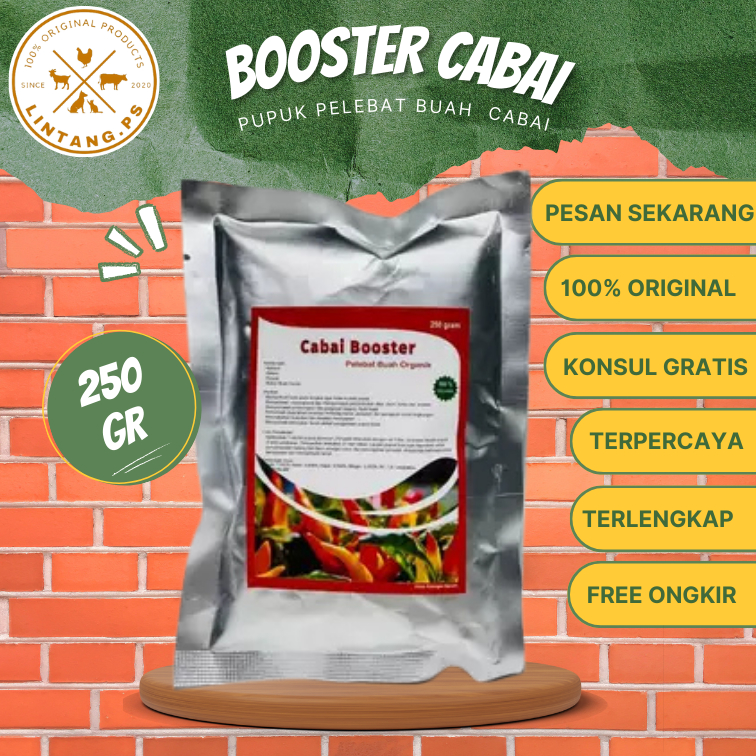 Jual Cabai Booster 250 gram - Pupuk Pelebat Cabai 250 gram - Suplemen Semua Jenis Cabai | Shopee ...