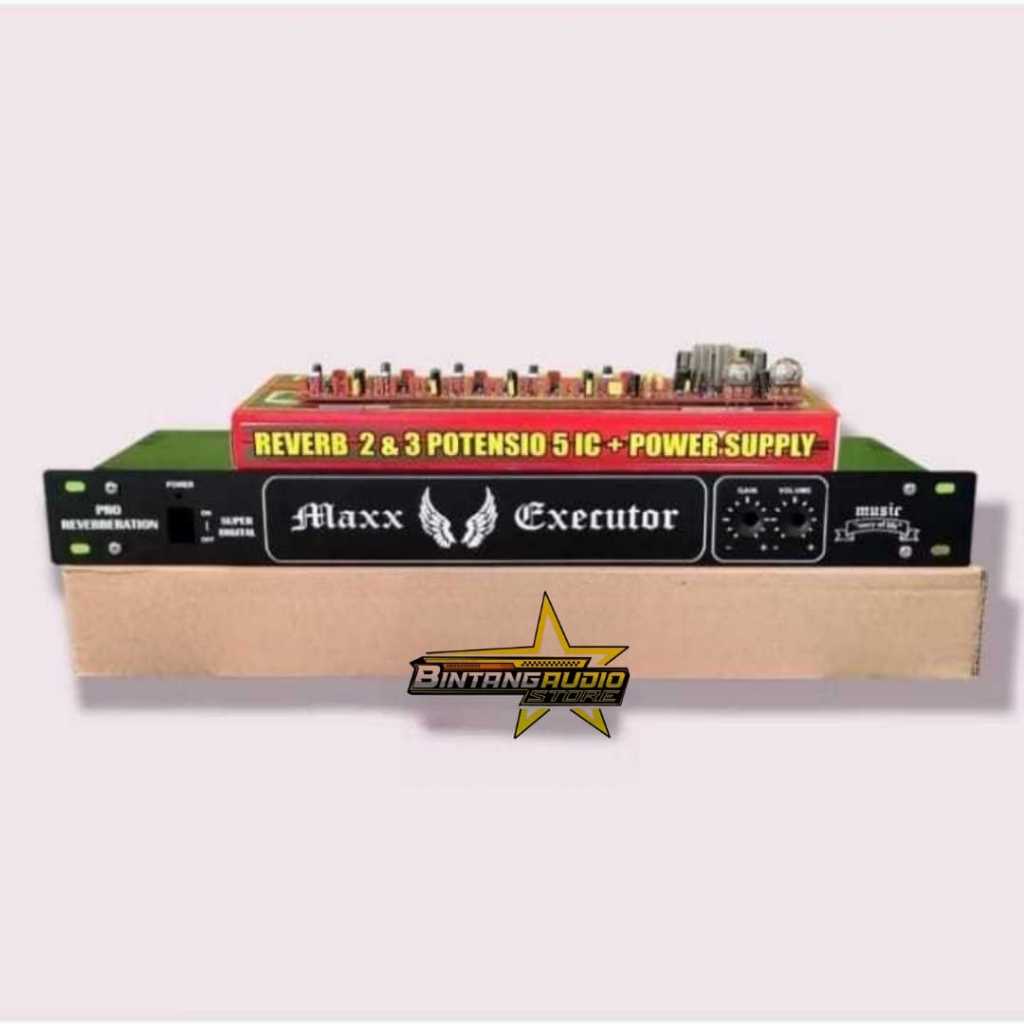 Jual Paket kit + Box ECHO Reverb 2 Potensio Reverbration | Shopee Indonesia