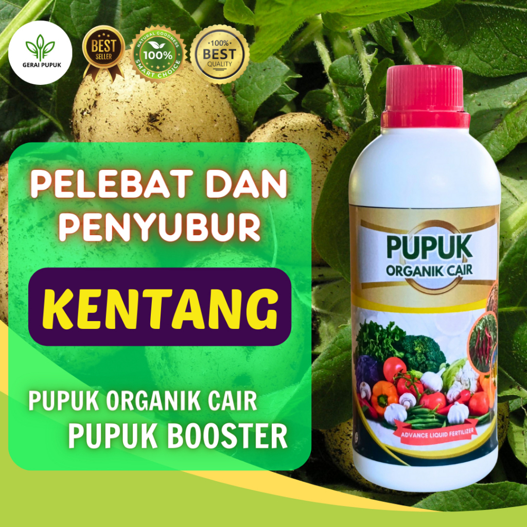 Jual pupuk organik cair kentang | pupuk penyubur tanaman kentang ...