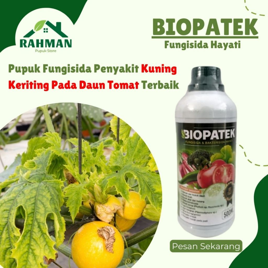 Jual Obat layu fusarium tanaman tomat paling ampuh - BIOPATEK 500ML ...