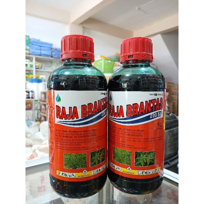 Jual Herbisida Kontak RAJA BRANTAS 200 SL| Racun Rumput | Shopee Indonesia