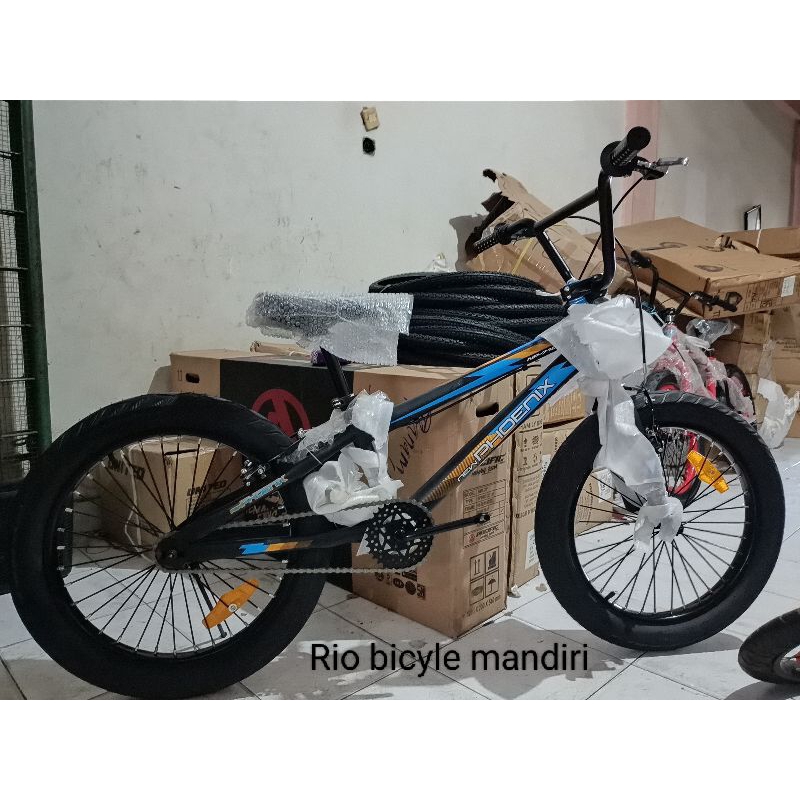 Jual SEPEDA BMX NEW PHOENIX RING 20 BAN BESAR | Shopee Indonesia
