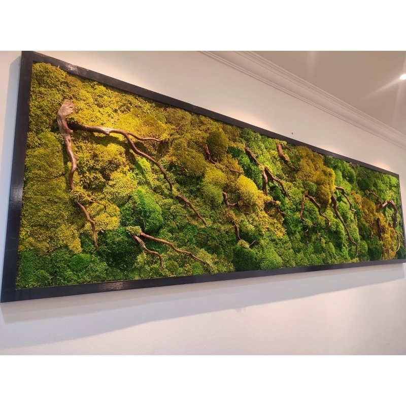 Jual Moss Wall Art - Lumut Hias - Hiasan Dinding Lumut Hidup - Vertical ...