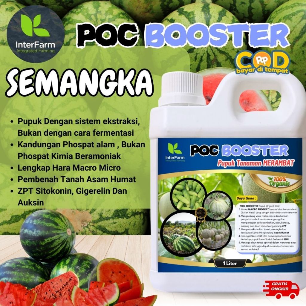 Jual Pupuk pelebat buah semangka ,Pupuk tanaman semangka, Pupuk cair organik untuk semangka ...