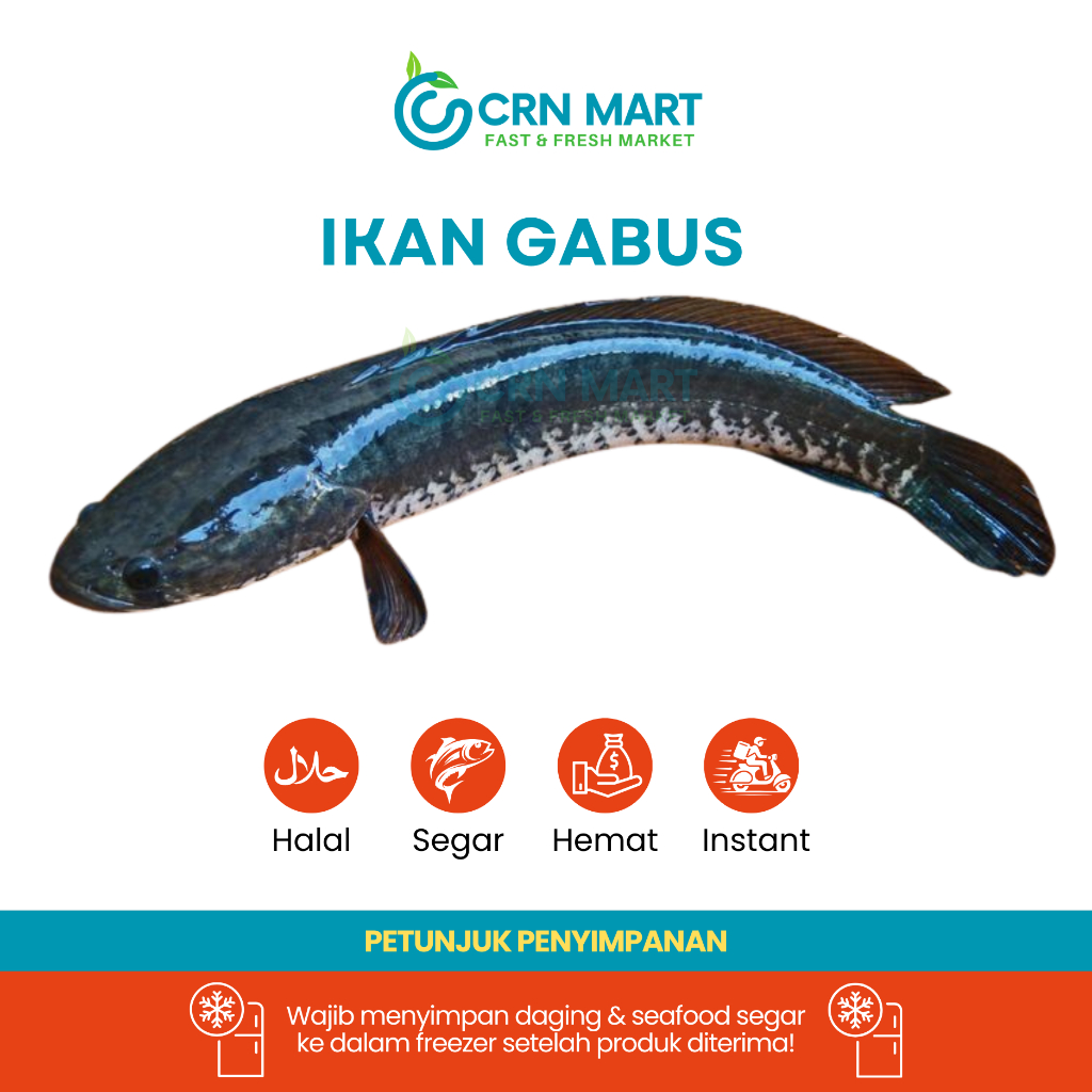 Jual CRN MART - Ikan Gabus Segar/Ikan Air Tawar Segar/Ikan Gabus Hidup ...